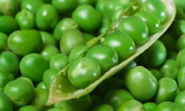 Los guisantes | Propiedades y beneficios - ViviendoSanos.com